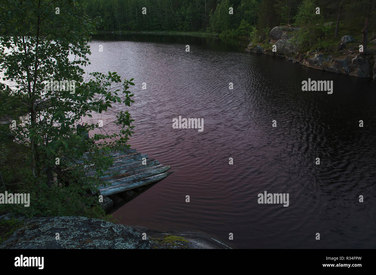 Wooded shore of a large lake. Forests along the coast Stock Photo - Alamy