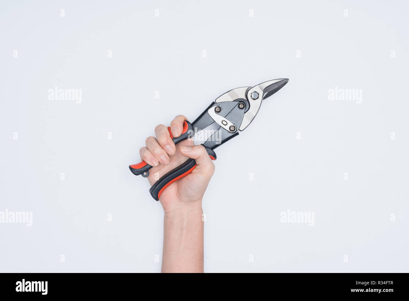cropped shot of woman holding wire cutter isolated on white Stock Photo ...