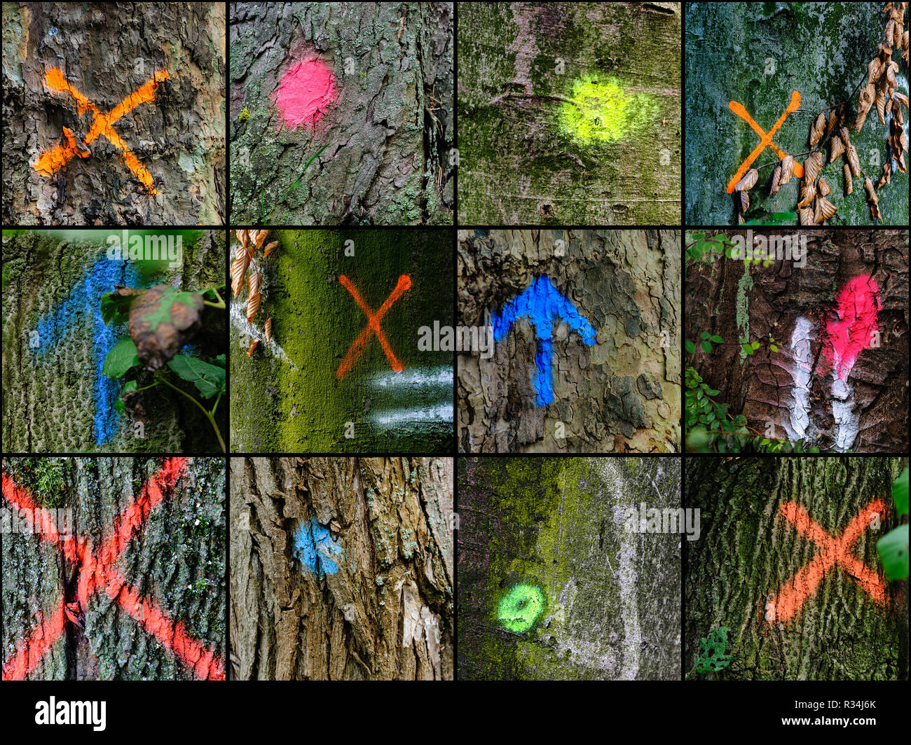 Oak tree leaf logo hi-res stock photography and images - Alamy