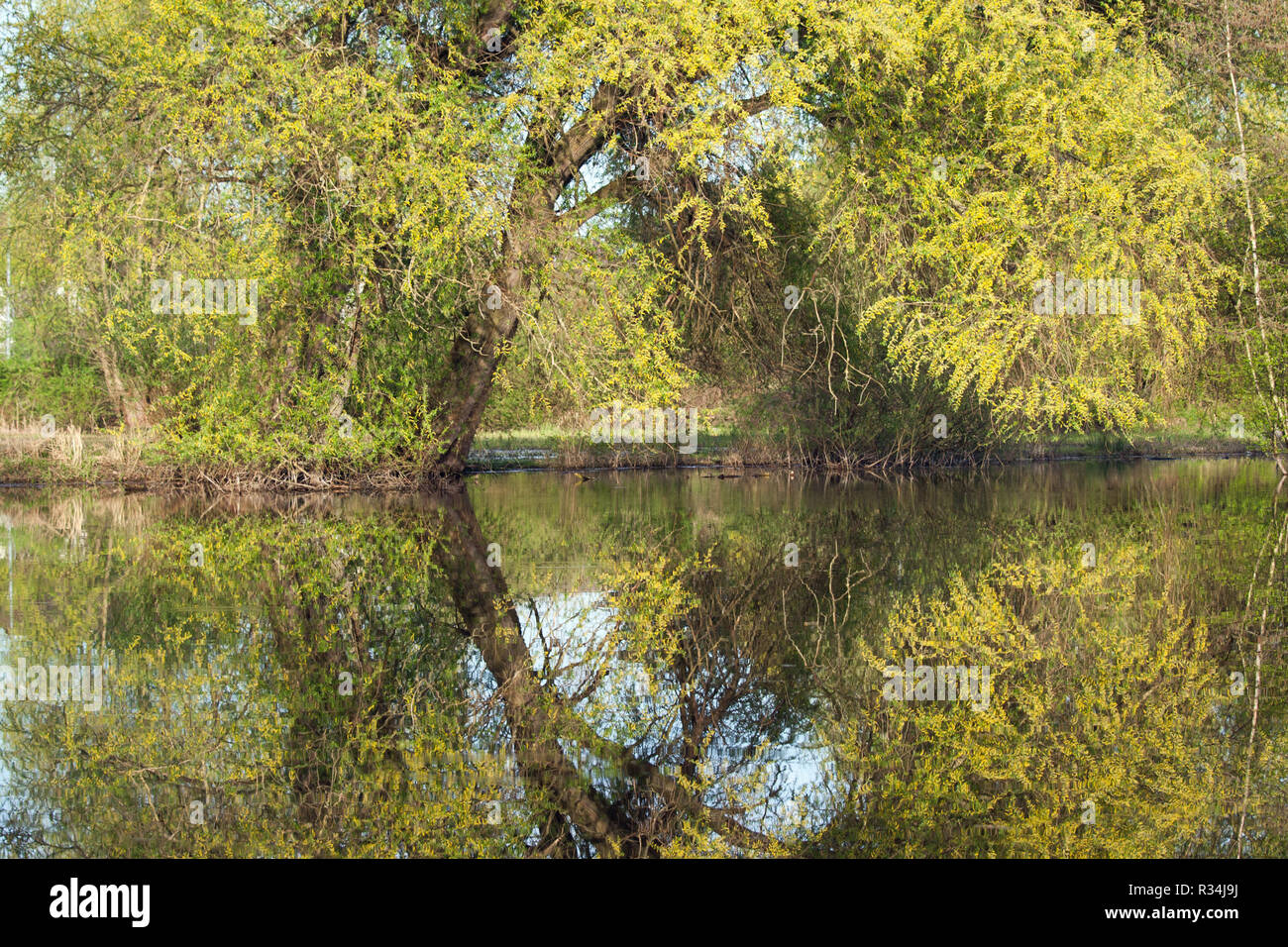 Begra nt hi-res stock photography and images - Alamy