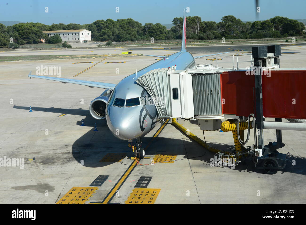 plane on the tarmac Stock Photo - Alamy