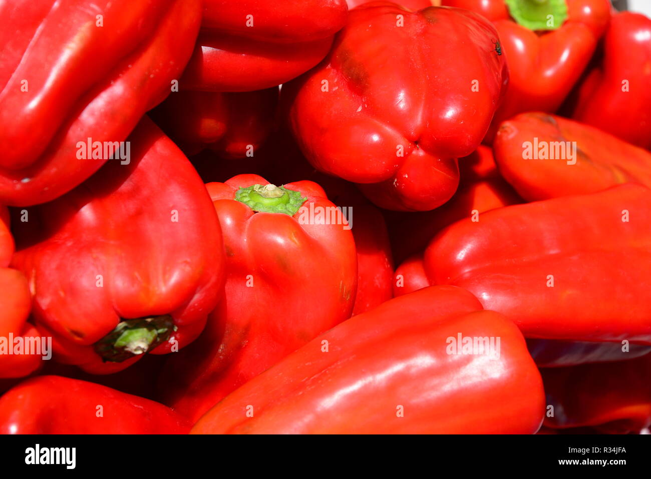 Spain market mallorca pepper hi-res stock photography and images - Alamy