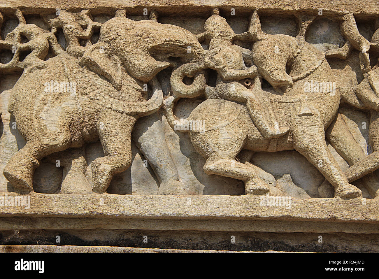 War elephant india hi-res stock photography and images - Alamy