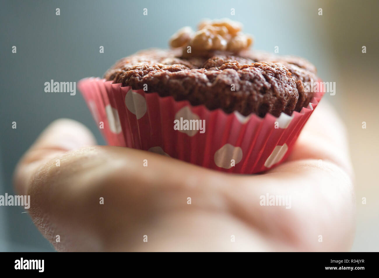 muffin on hand Stock Photo - Alamy