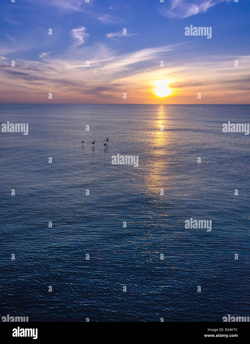 Scenic beauty of sunset with birds hi-res stock photography and images ...