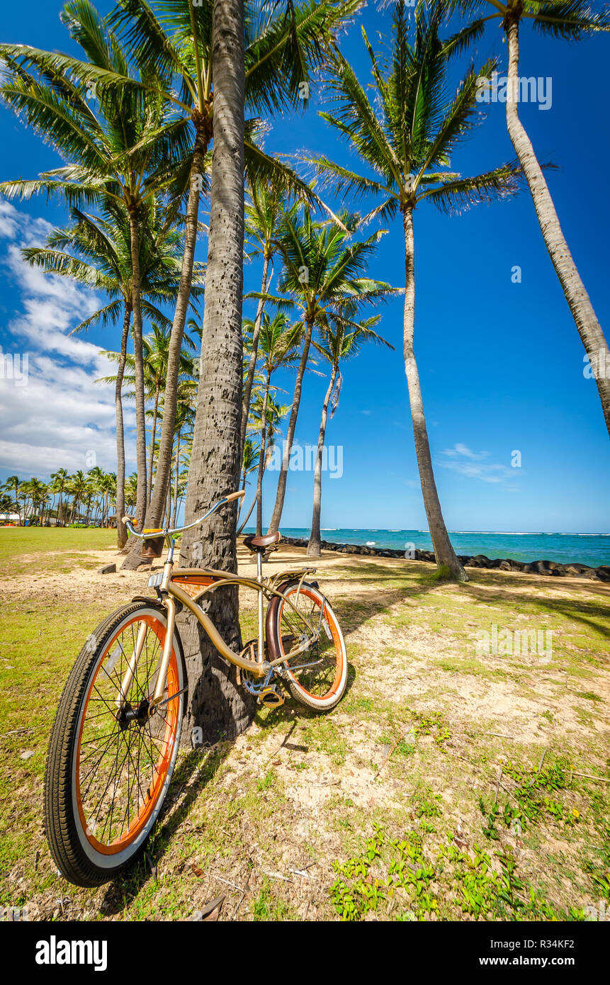 Bike leaning against tree hi-res stock photography and images - Alamy