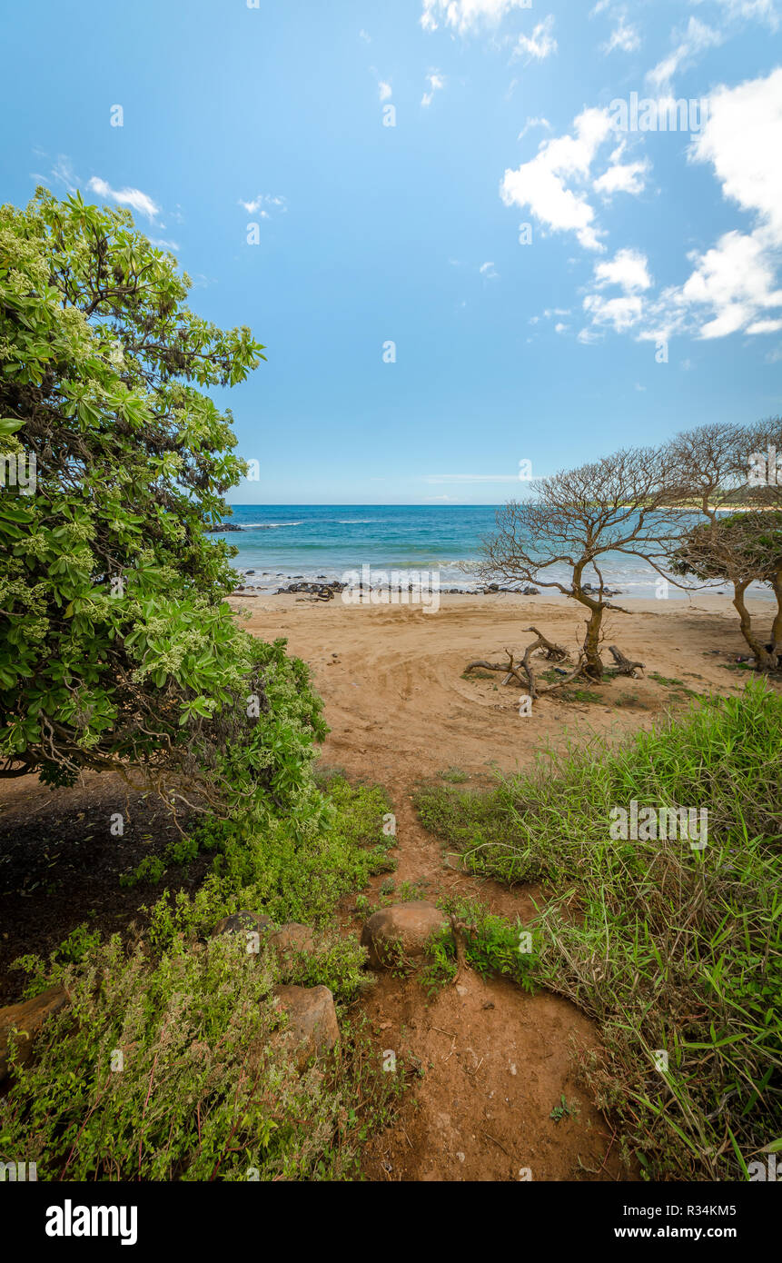Tropical beach path hi-res stock photography and images - Alamy