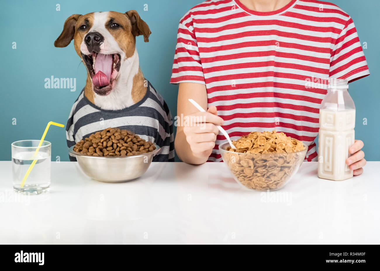 Sleepy dog and human having breakfast together. Minimalistic ...
