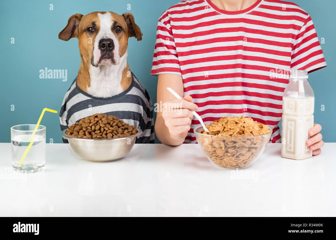 Hungry dog and human having breakfast together. Minimalistic ...