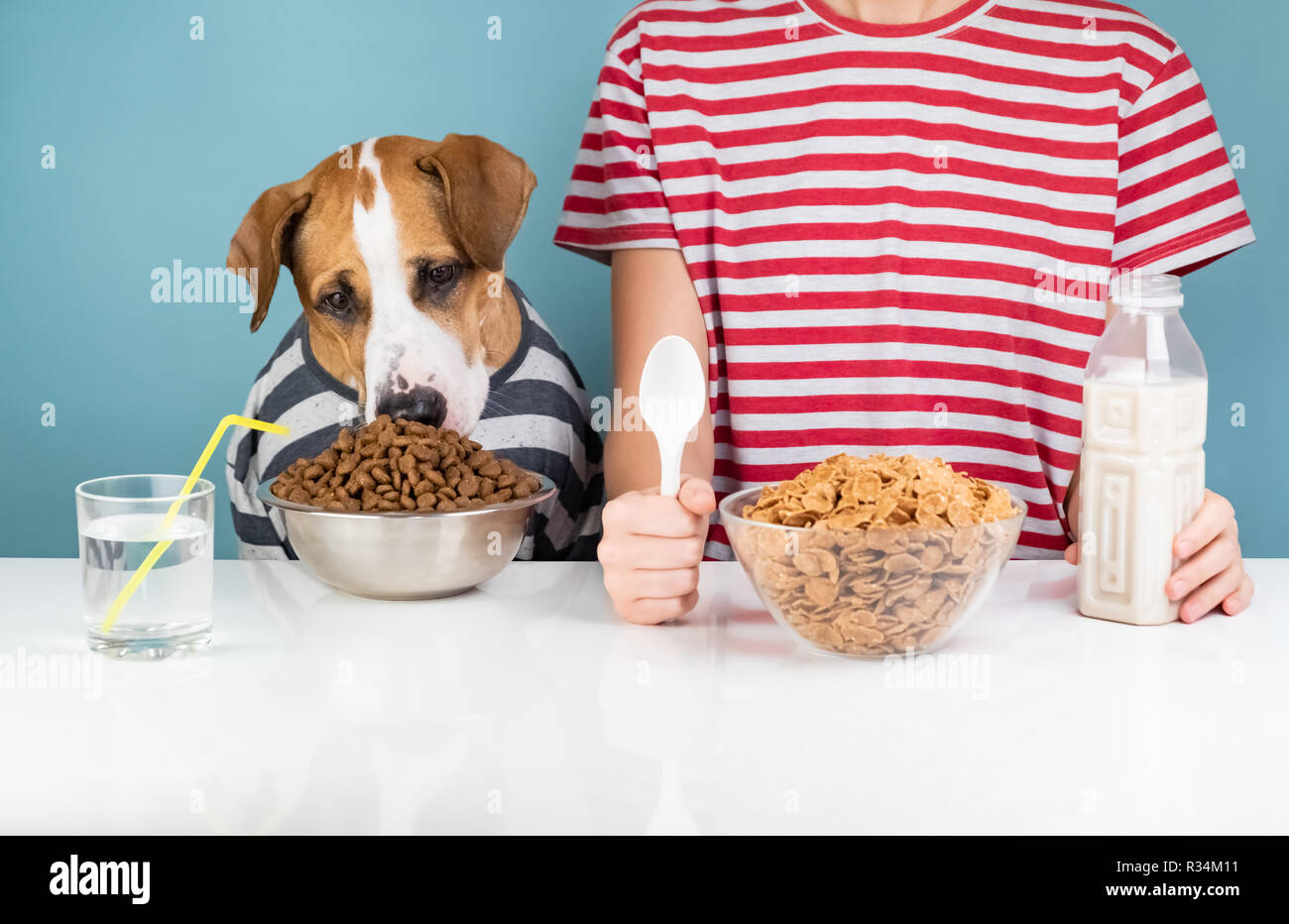 Cute dog and human having breakfast together. Minimalistic illustrative ...
