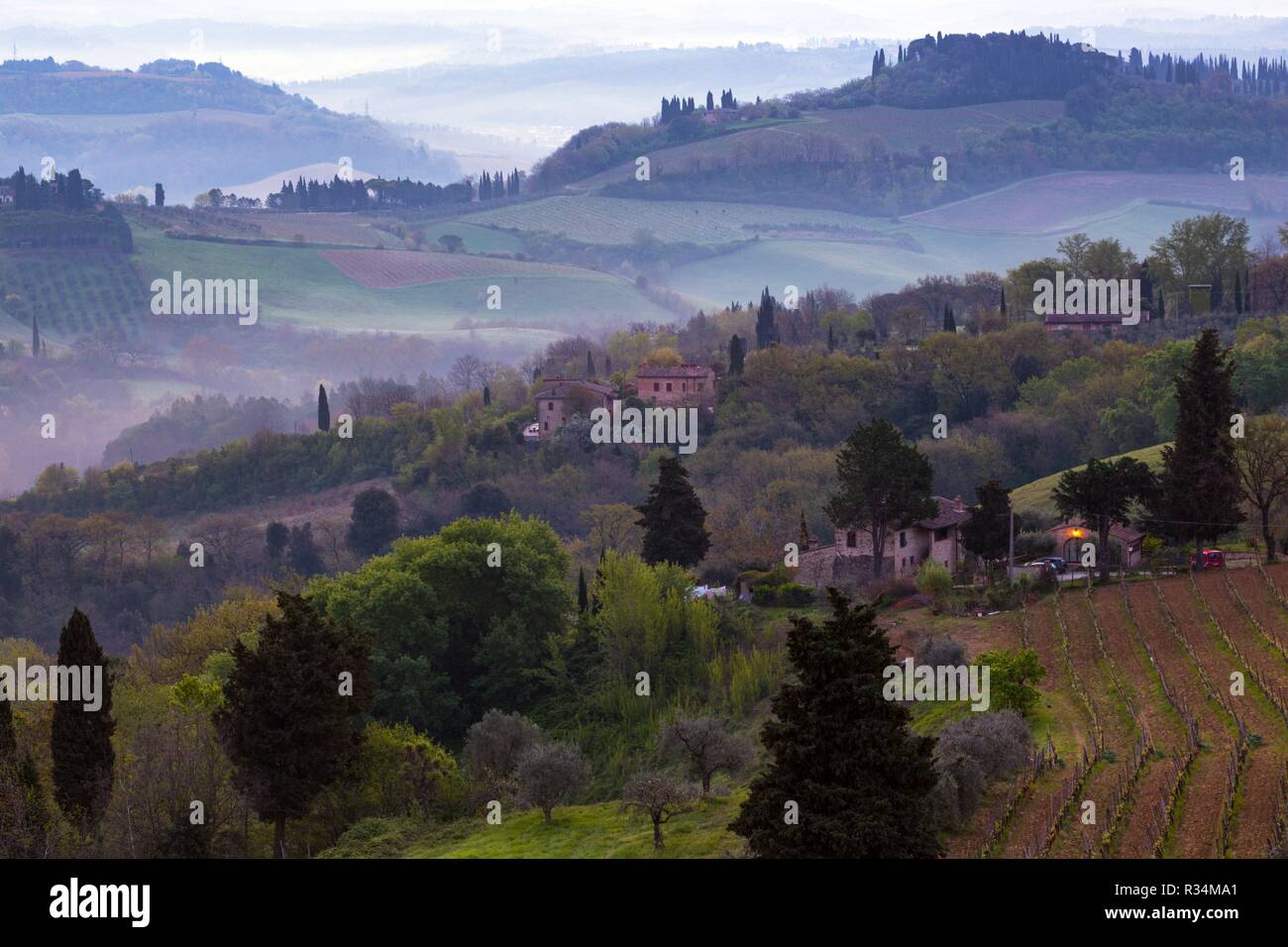 typical Tuscan landscape - a view of a villa on a hill, a cypress alley ...