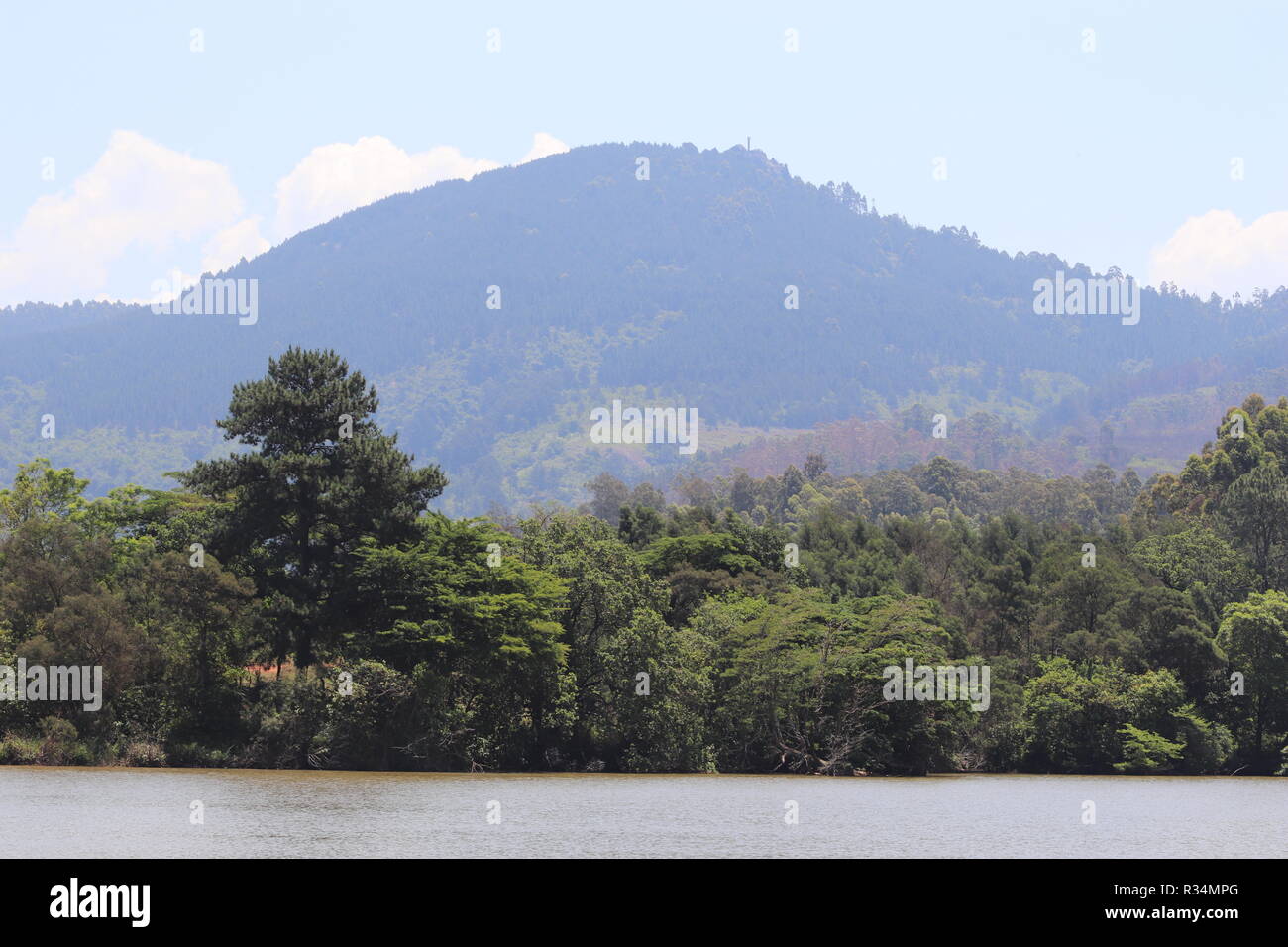 African vegetation hi-res stock photography and images - Alamy