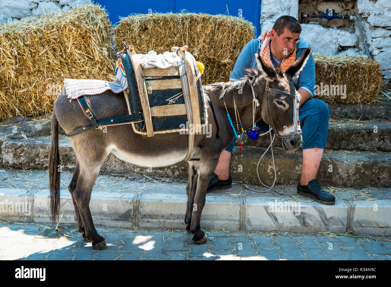Barbaros, Urla, Turkey - September 08, 2018 : Man with a donkey Stock ...