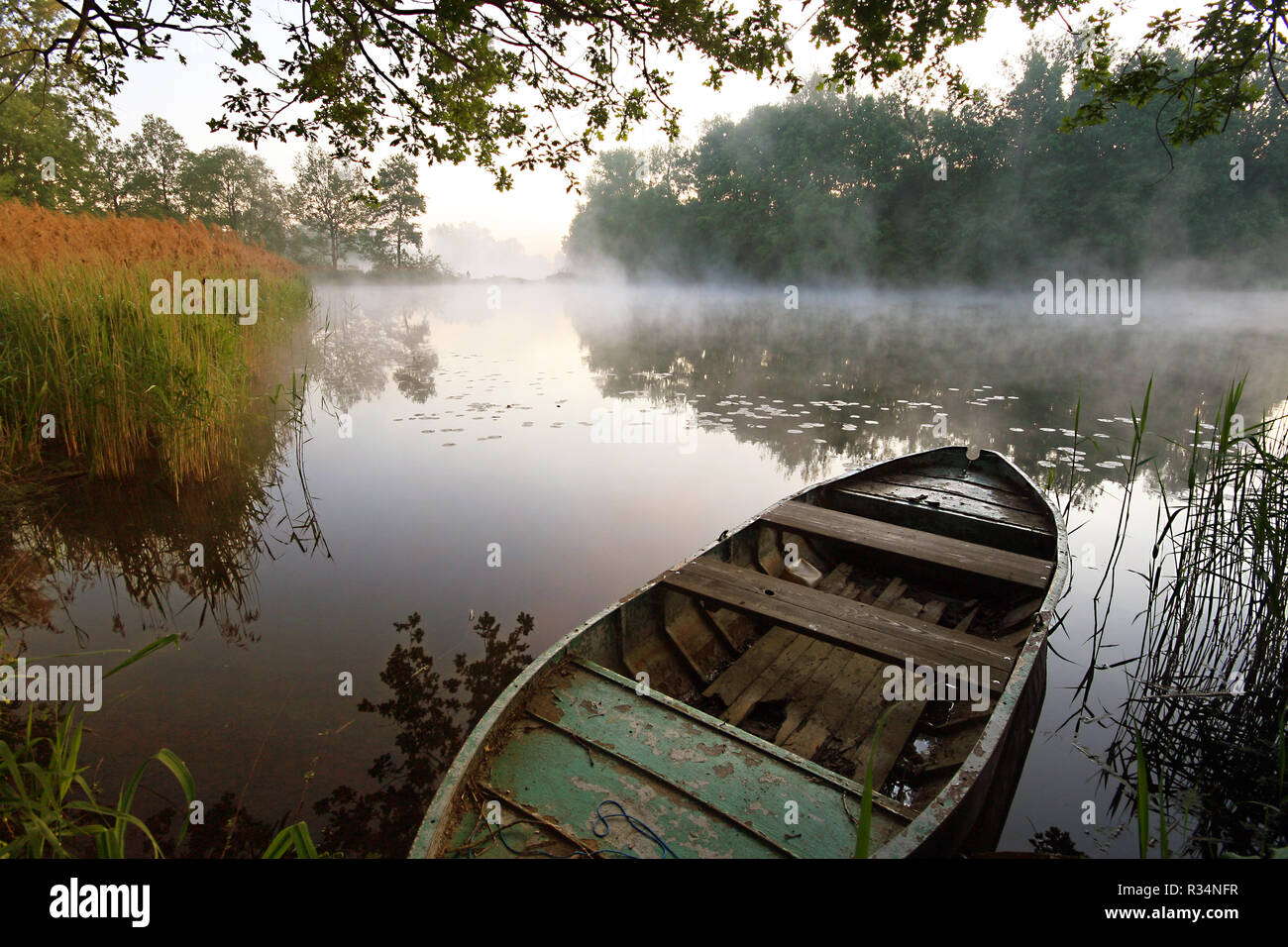 Sinking damp hi-res stock photography and images - Alamy
