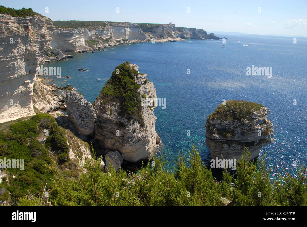 Cretaceous ocean hi-res stock photography and images - Alamy