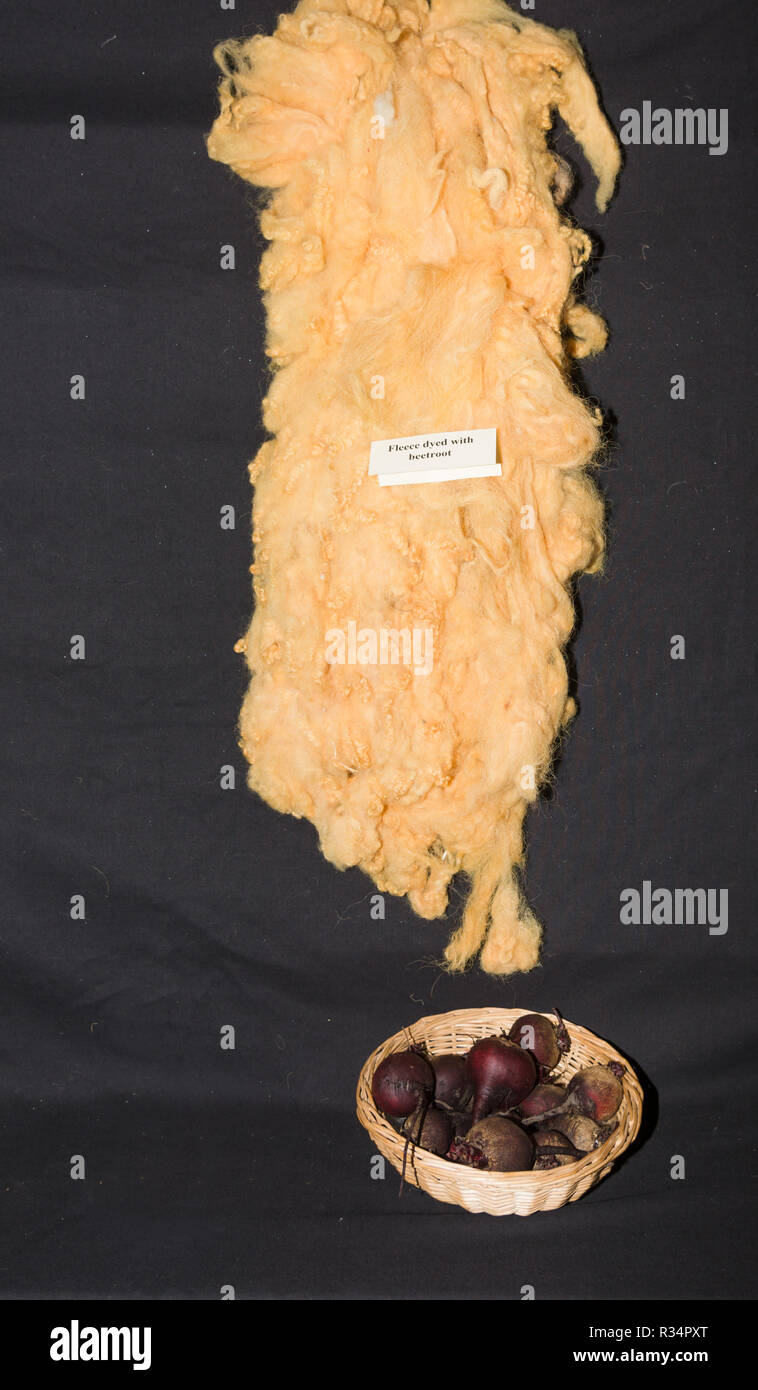 Beetroot fibre hi-res stock photography and images - Alamy