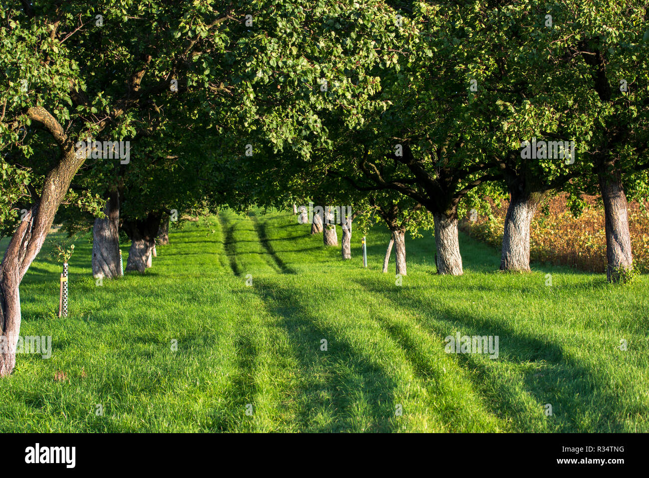 Progress avenue hi-res stock photography and images - Alamy