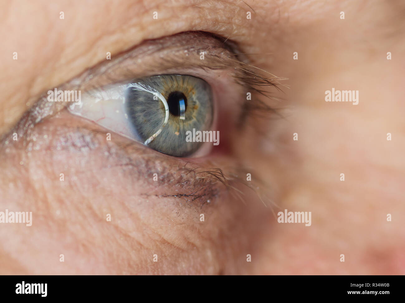 Eyelid optical hi-res stock photography and images - Alamy