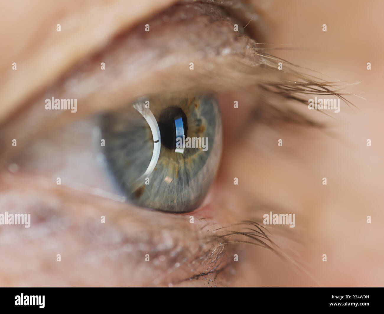 Eyelid optical hi-res stock photography and images - Alamy