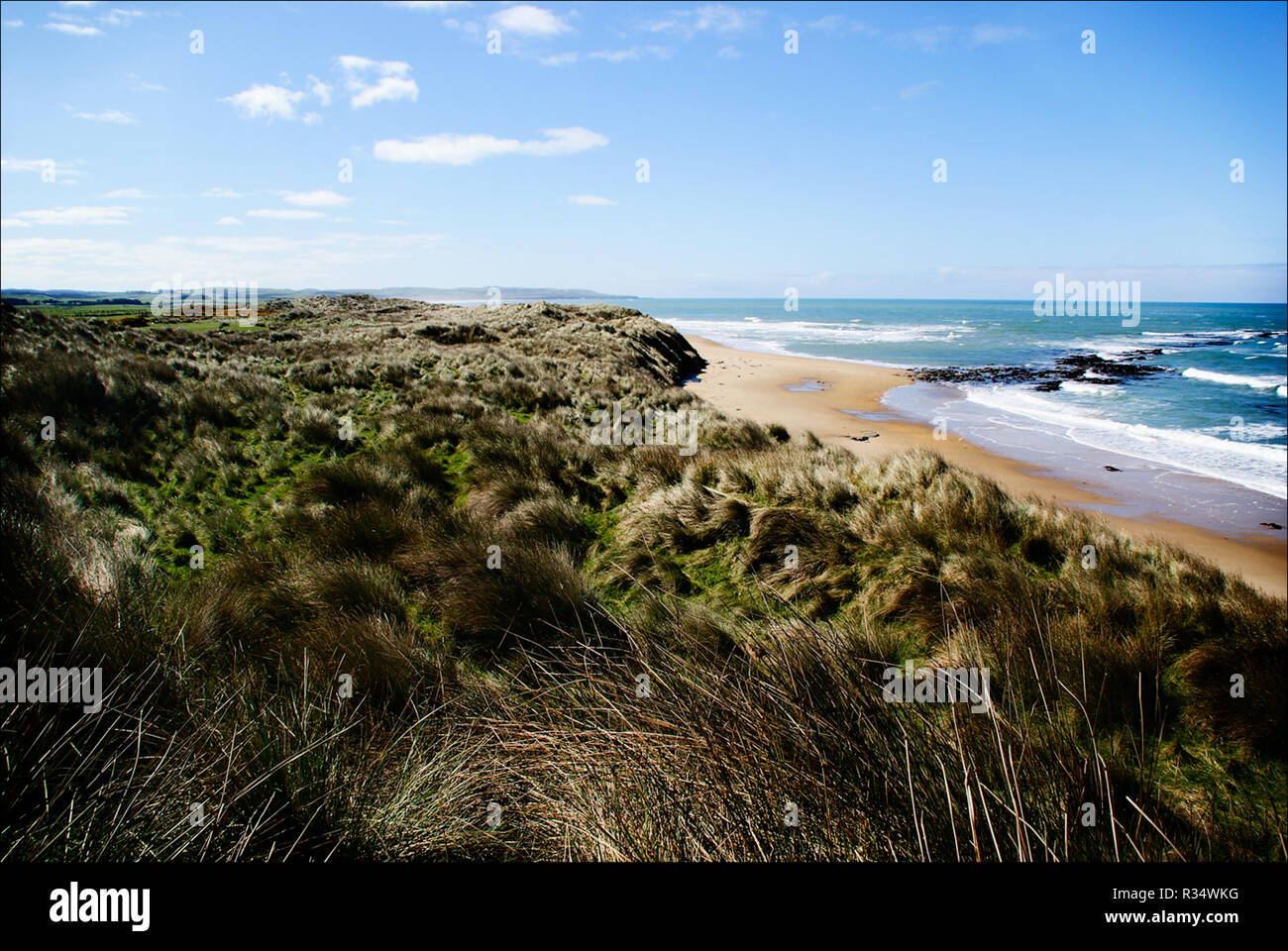Landscape of the New Zealand ocean coasts Stock Photo - Alamy