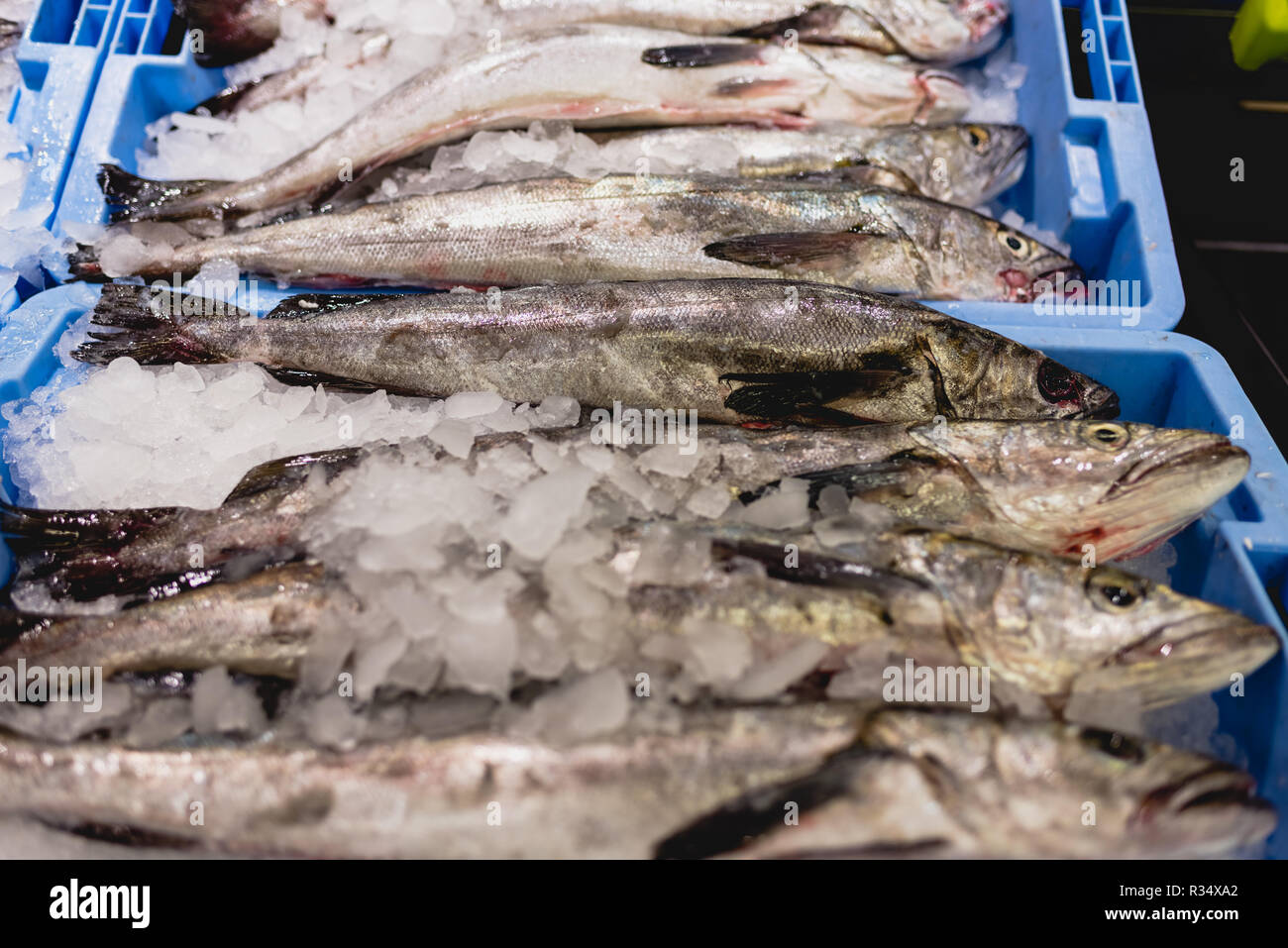 Fresh fish hake in market hi-res stock photography and images - Alamy
