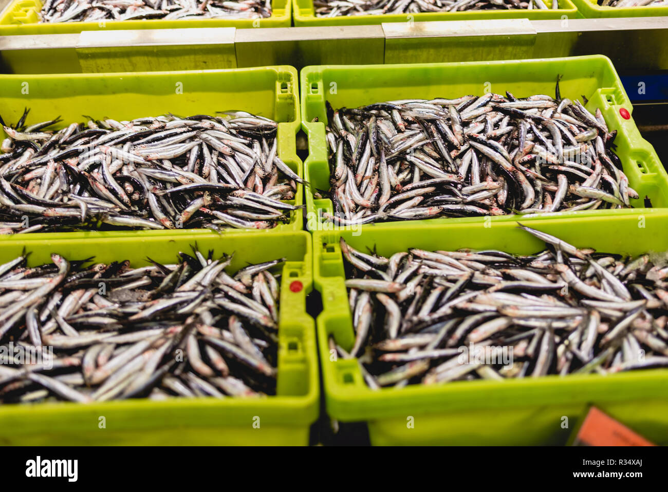 sardines fish in a box with ice in a fishmonger Stock Photo - Alamy