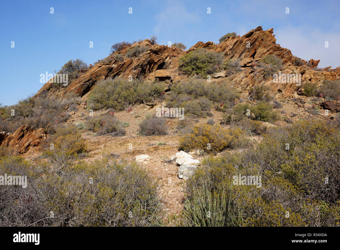 The Karoo Desert National Botanical Garden in Worcester at the foot of ...