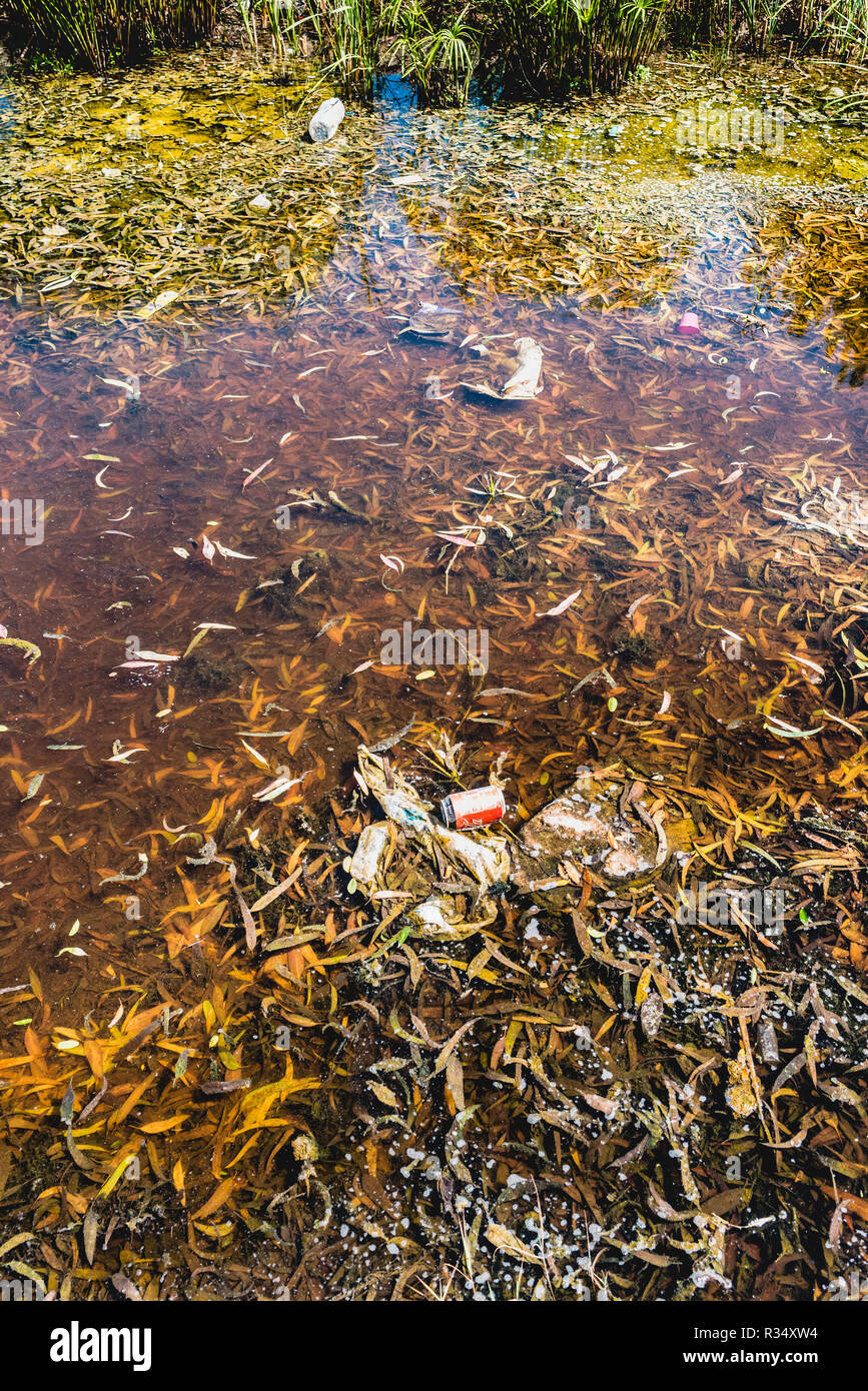 Water contaminated with garbage and bottles in a river, care of the ...