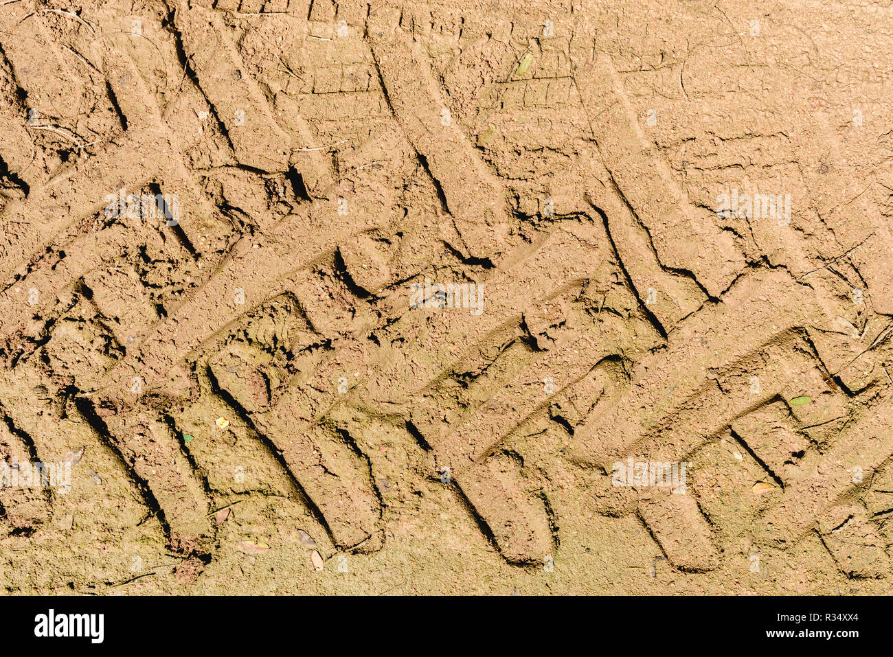 Tractor wheel tracks on wet mud Stock Photo - Alamy