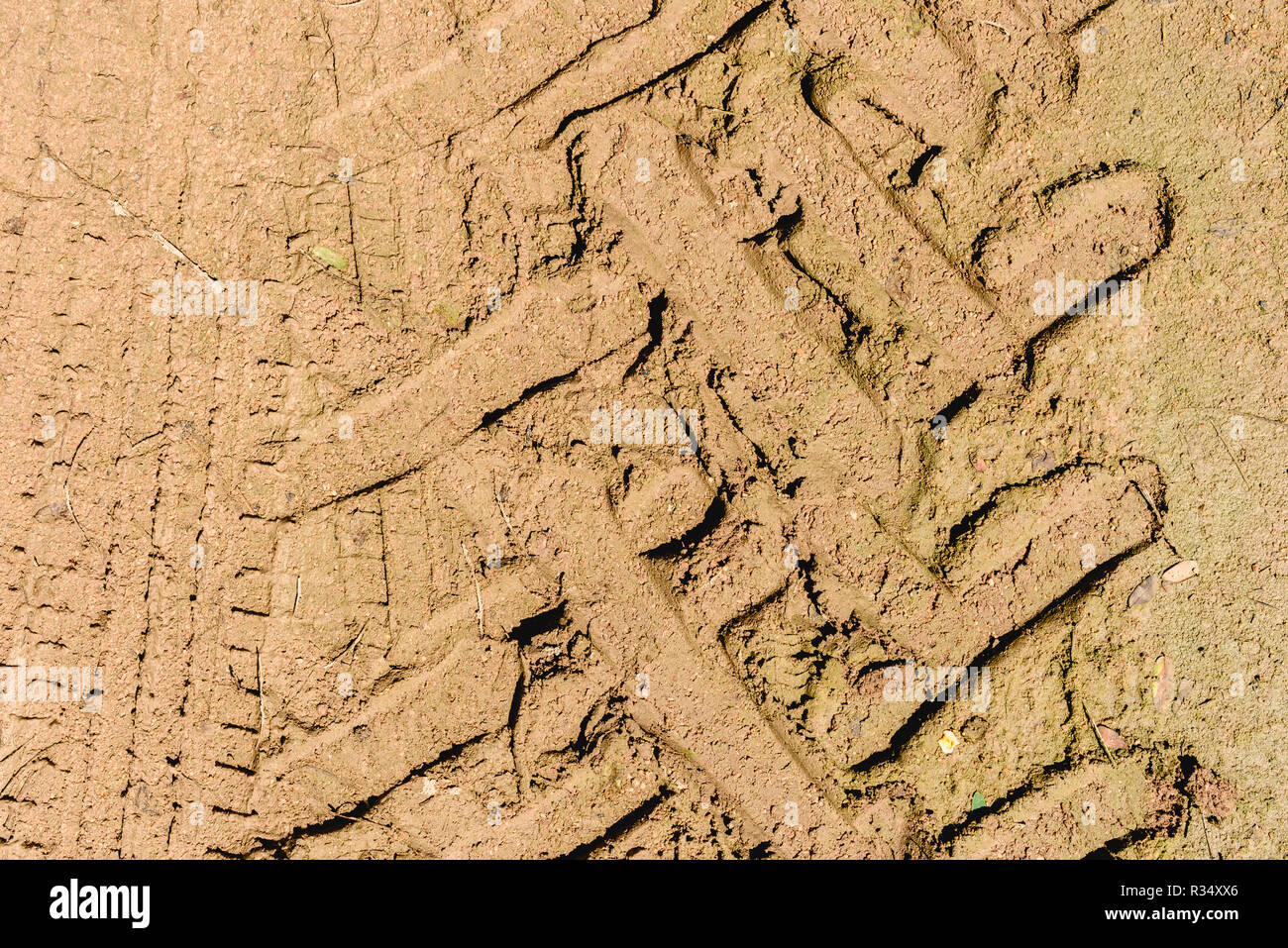 Tractor wheel tracks on wet mud Stock Photo - Alamy