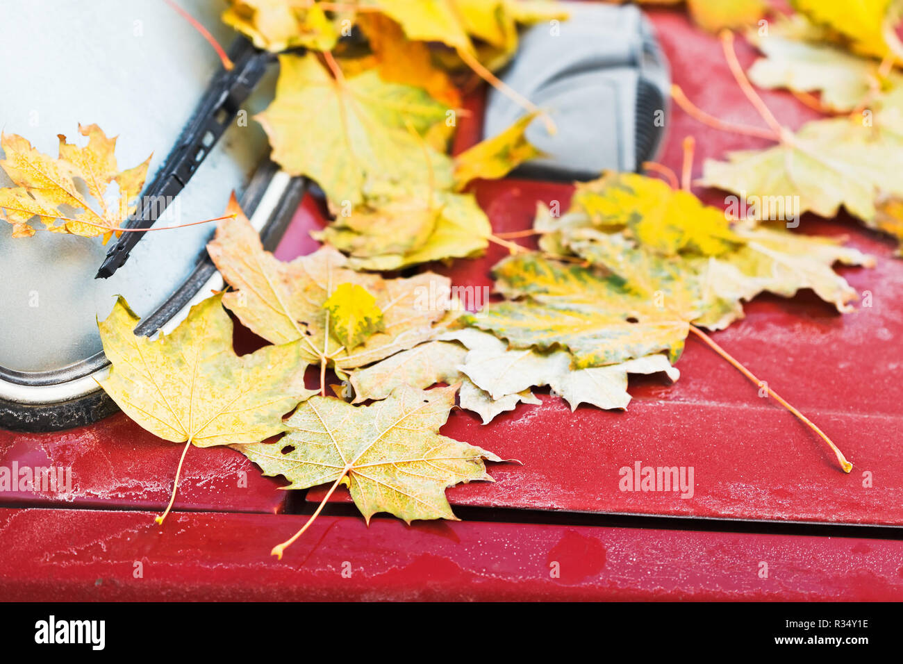 Bonnet dormer hi-res stock photography and images - Alamy
