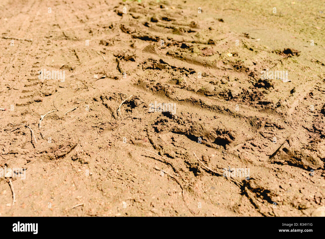Tractor wheel tracks on wet mud Stock Photo - Alamy