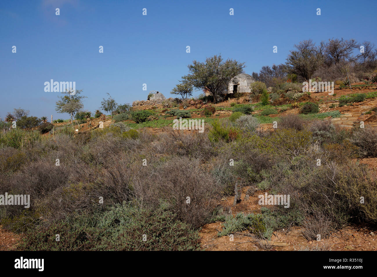 A typical 'skerm' or shelter built by Bushmen (San) in the Karoo Desert ...