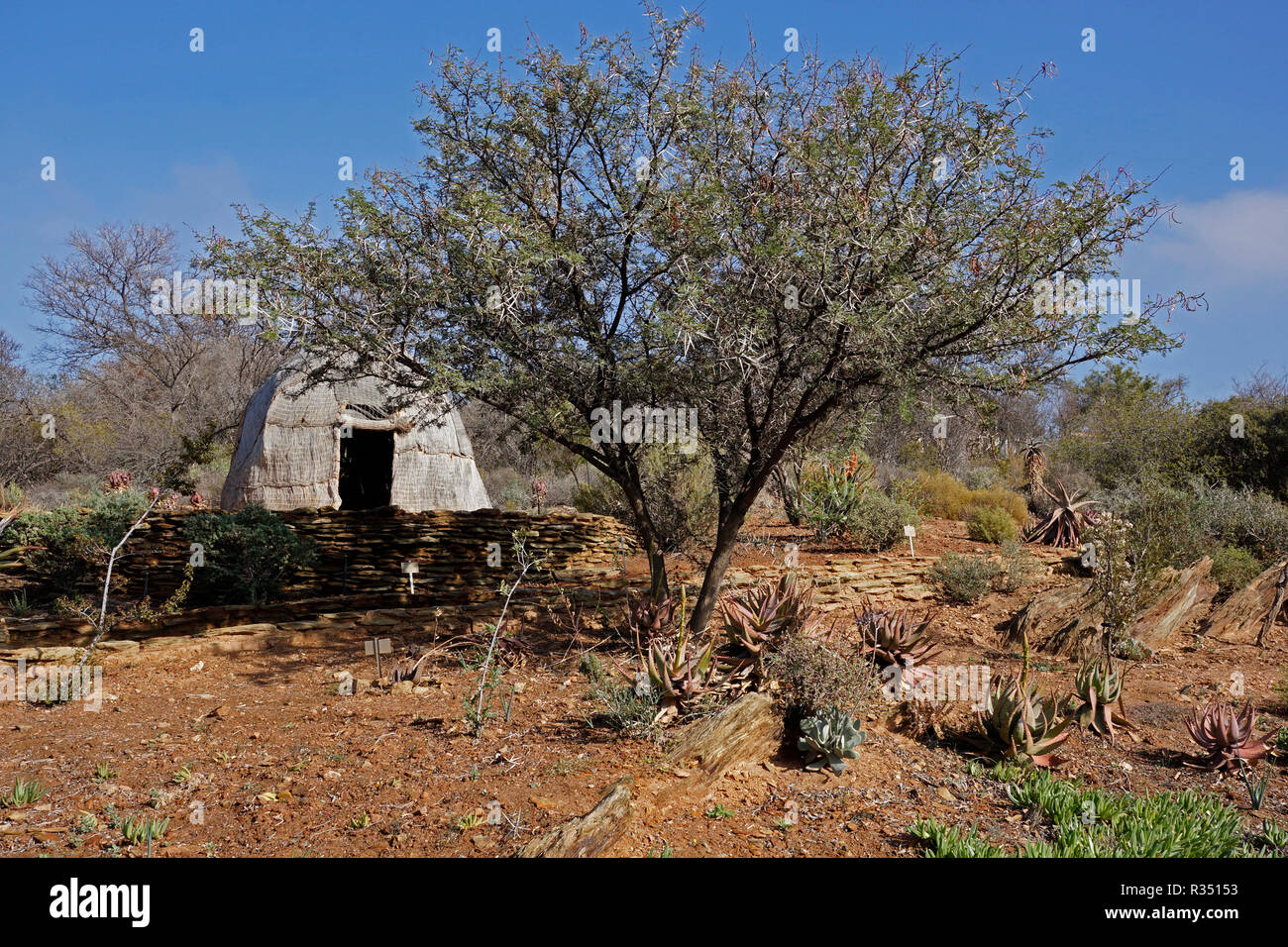 A typical 'skerm' or shelter built by Bushmen (San) in the Karoo Desert ...