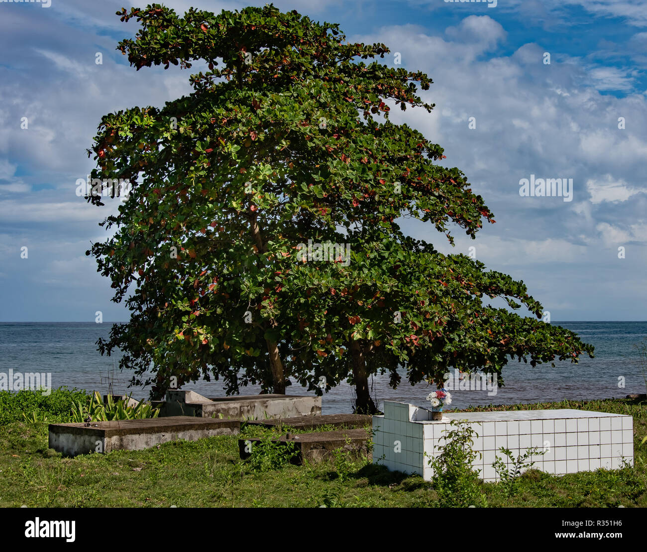 Seaside cemetery on Caribbean island Stock Photo - Alamy