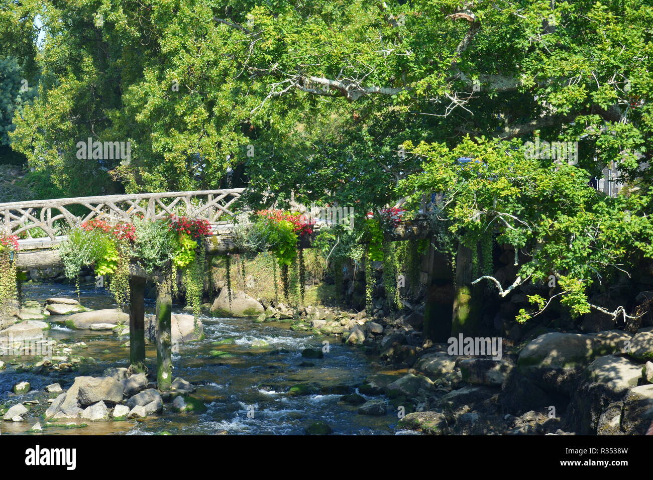 blooms at the bridge Stock Photo - Alamy