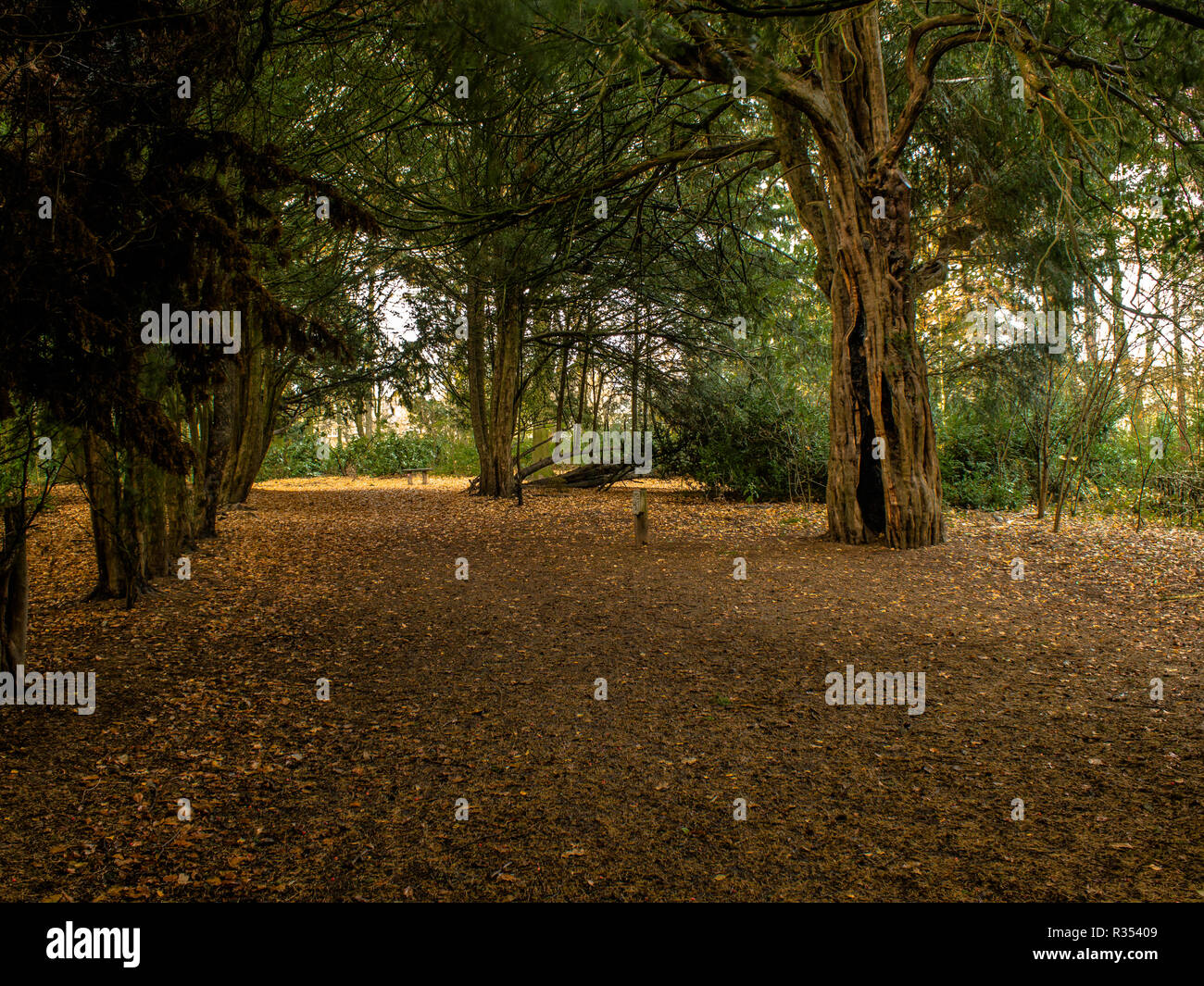 The telford hi-res stock photography and images - Alamy