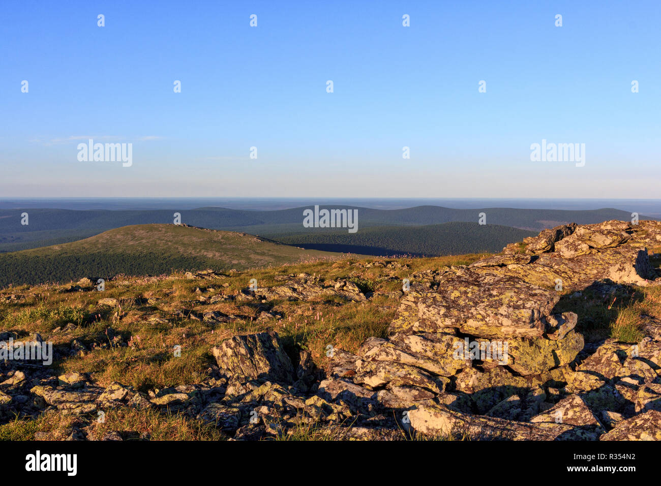 The highlands of the Northern Urals. Kurumnik and taiga grass covering ...