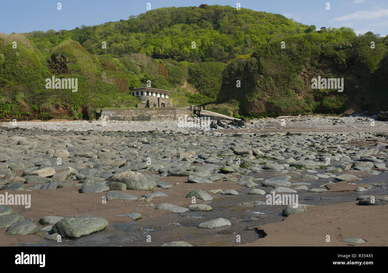 Sandy beach with boulders. Grass and woodland behind. Lee Bay, Devon ...