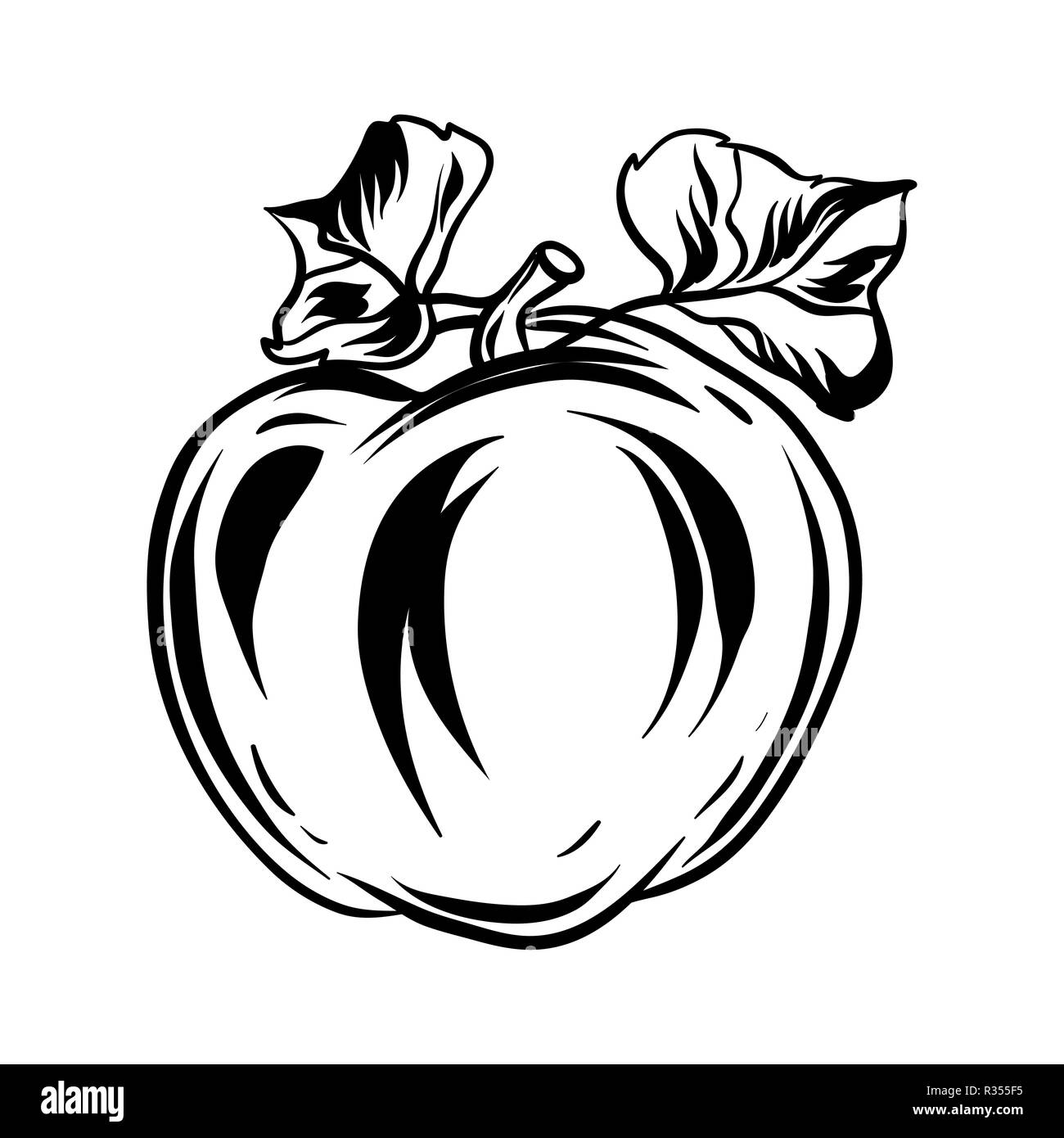 Illustration of apple Stock Vector Image & Art - Alamy