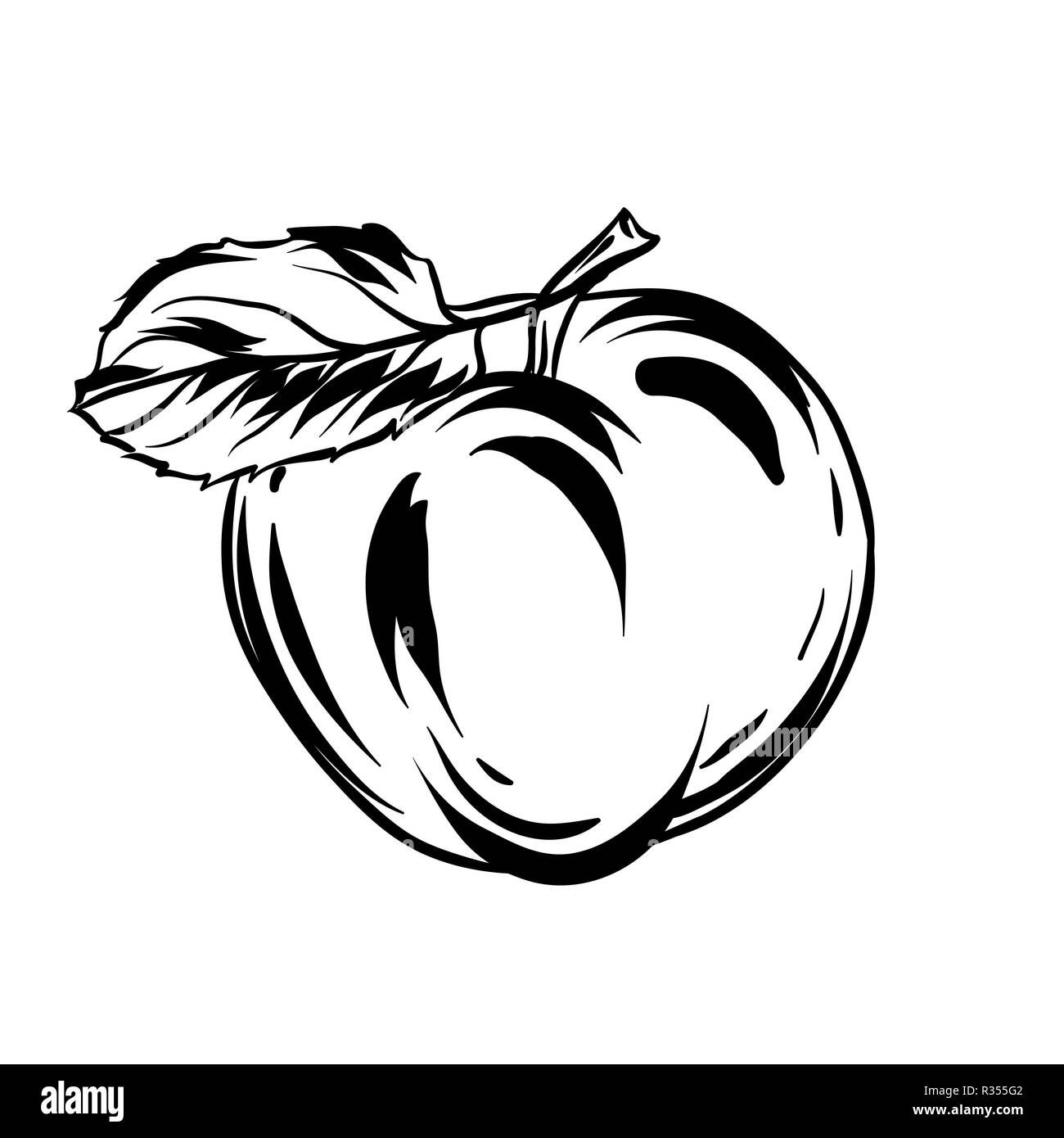 Illustration of apple Stock Vector Image & Art - Alamy