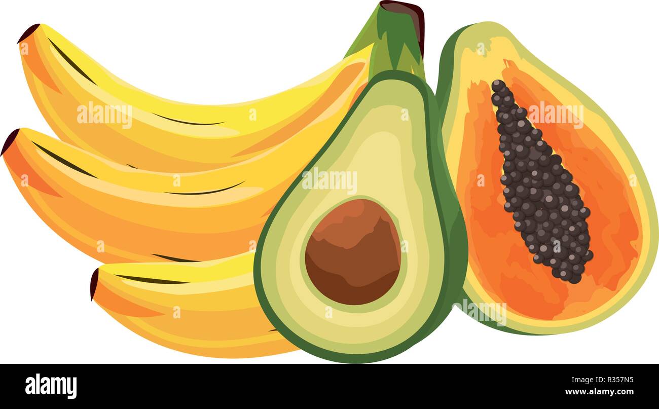 tropical fruit cartoon vector illustration graphic design Stock Vector ...