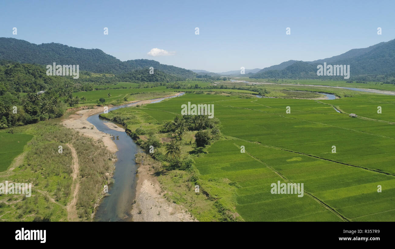 Mountain valley with river, farmland, rice fields. Aerial view of ...