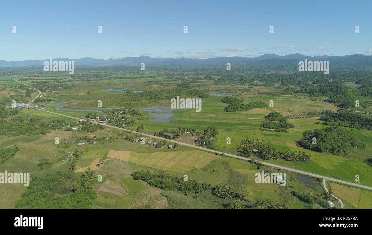 Aerial view of rice terrace, agricultural land of farmers. Tropical ...