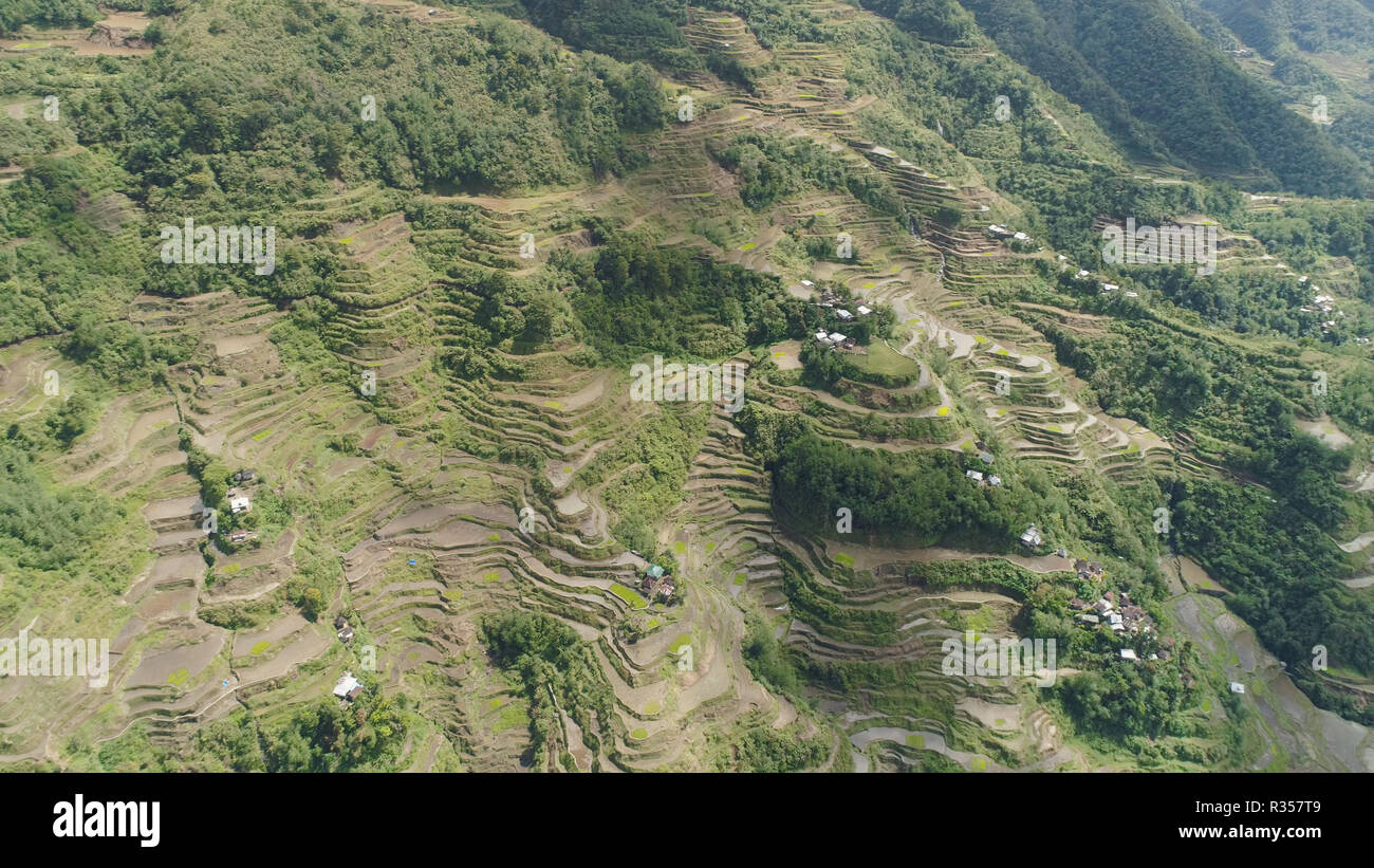 Aerial view of rice terraces on the slopes of the mountains, Banaue ...