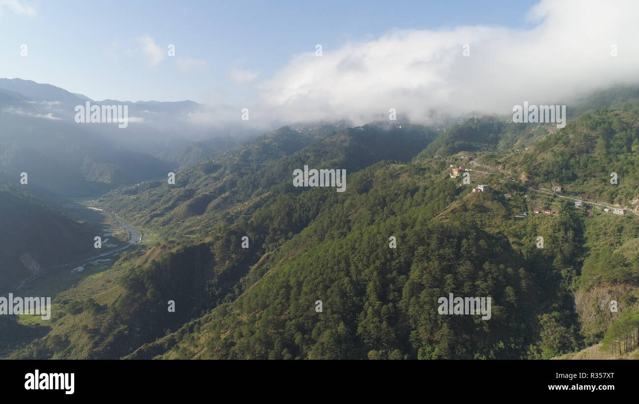 Aerial view of mountains covered forest, trees in clouds and fog ...