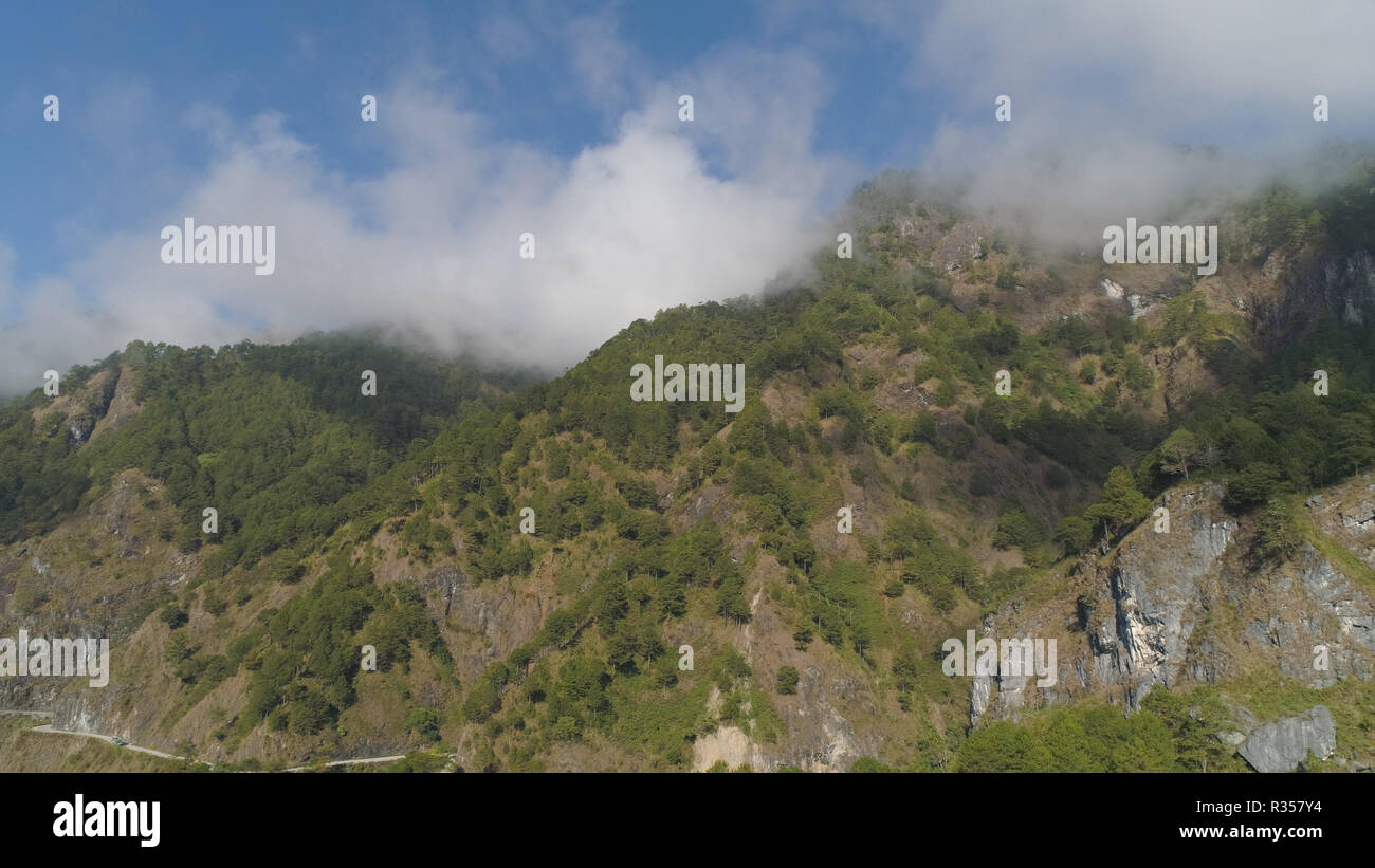 Aerial view of mountains covered forest, trees in clouds and fog ...