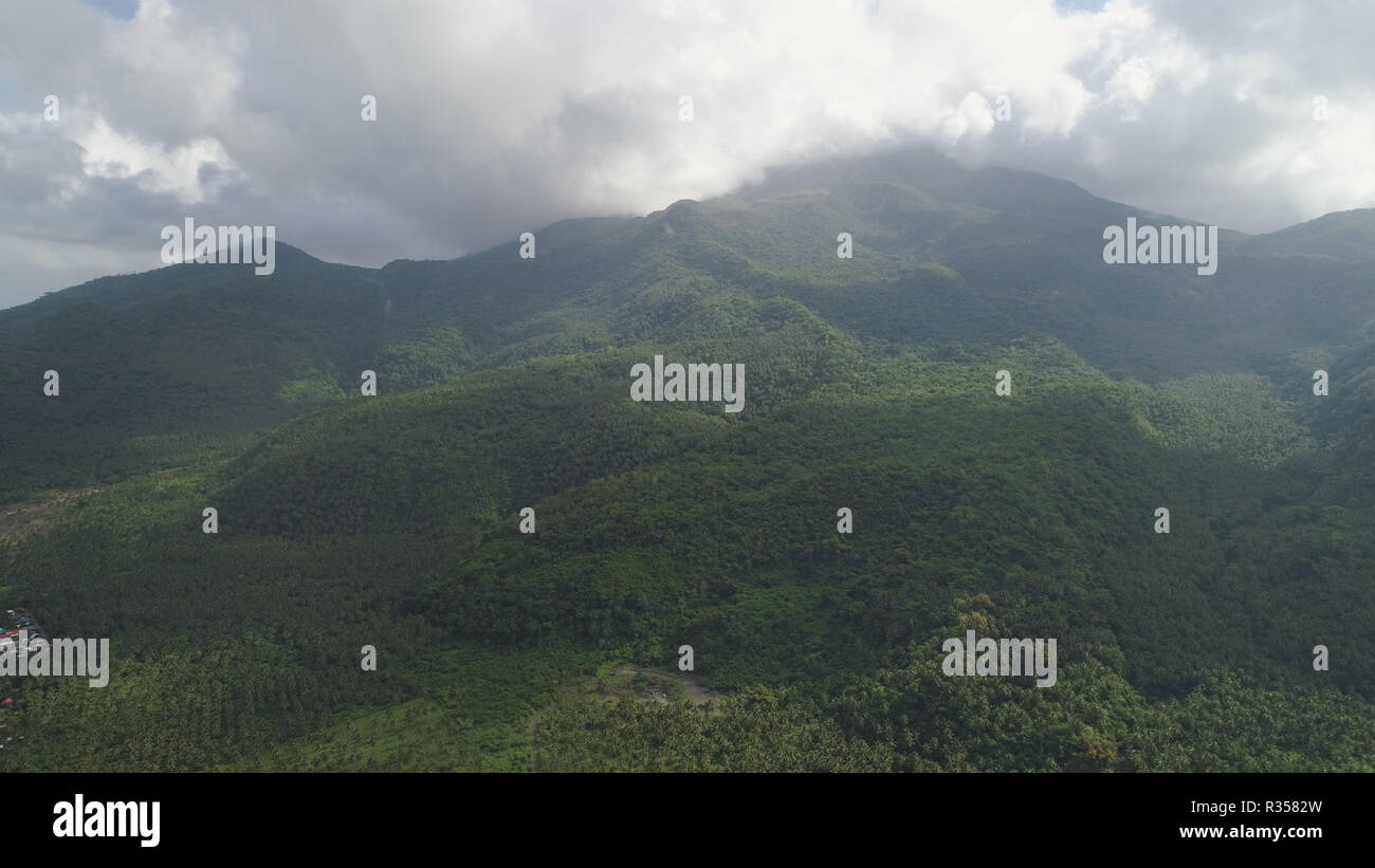 Aerial view of mountains covered forest, trees in cloudy weather ...