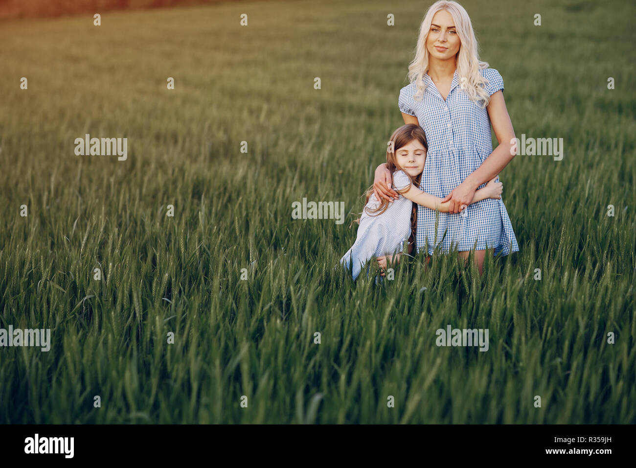 mom and daughter in beautiful dresses walk in field of beautiful summer ...