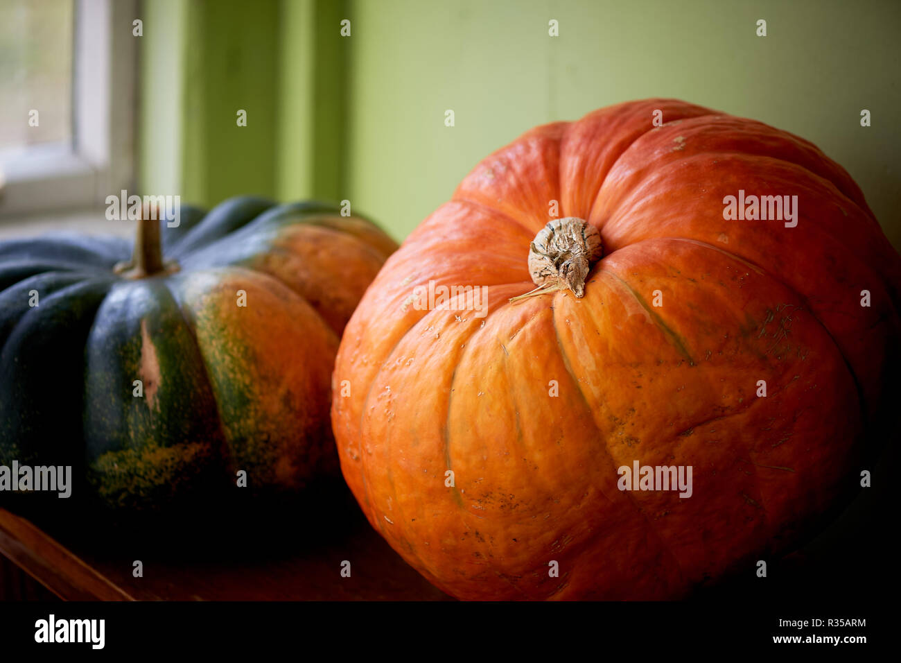 Large pumpkins from the garden.Fruitful year Stock Photo - Alamy